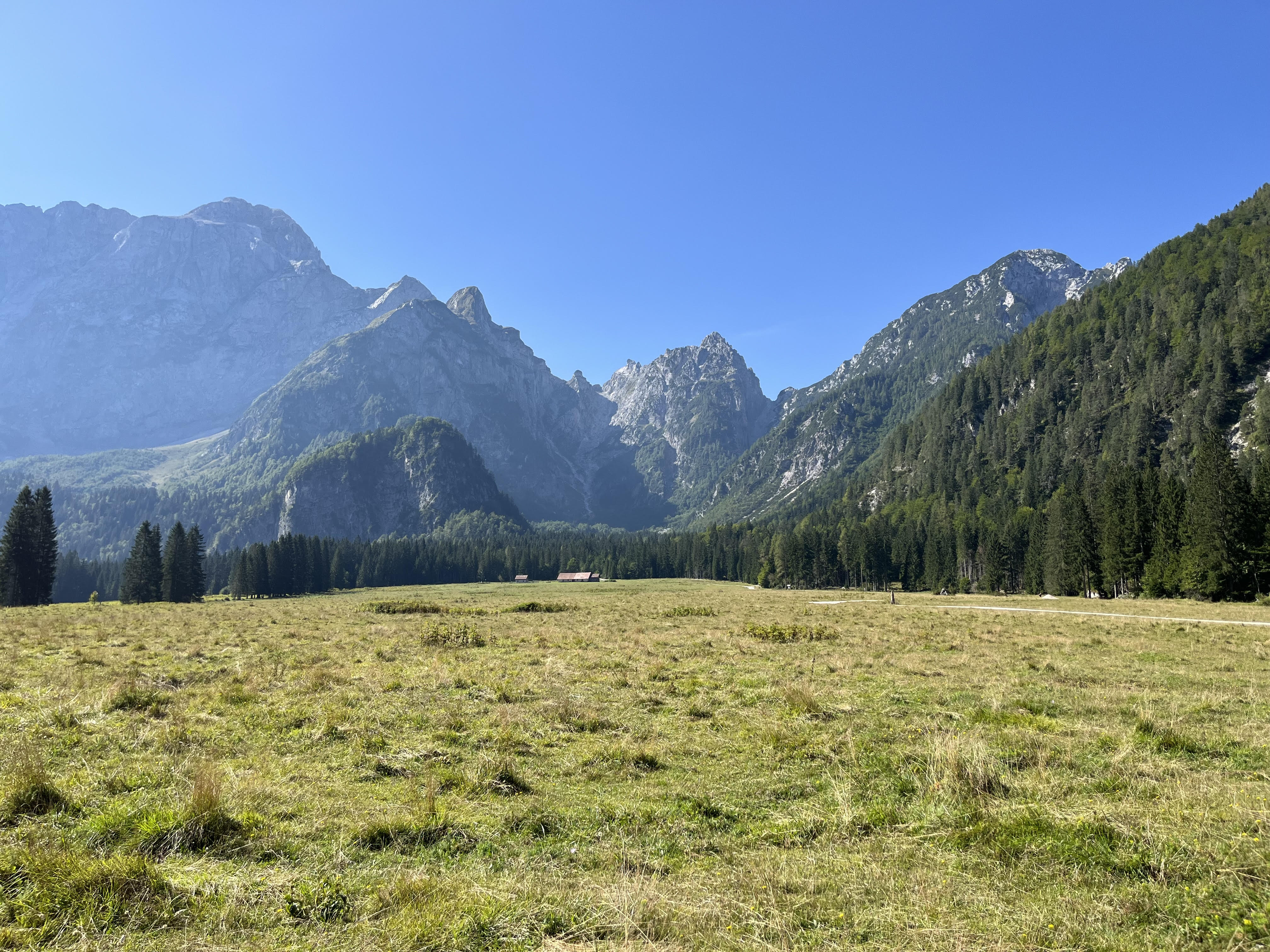 FT's profile on Dev Hunt - Dev Hunt